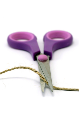 Open-Ended Vasectomy vs Clipped or Tied Vasectomy with Fulguration ...